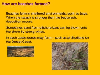 Coastal Process of Erosion and Deposition | PPT
