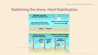 Coastal processes discussion | PPT