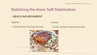 Coastal processes discussion | PPT | Free Download