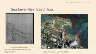 Coastal processes discussion | PDF