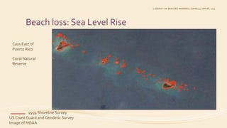 Coastal processes discussion | PDF