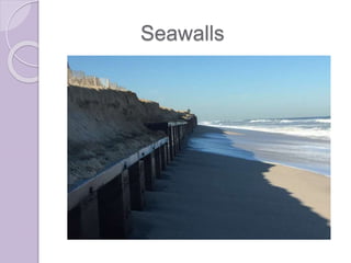 Coastal protection | PPTX