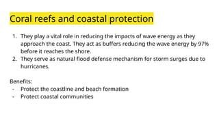 Coastal protection.pptx......................... | PPTX