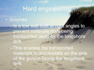 Coastal Protection Measures Hard Engineering | PPT
