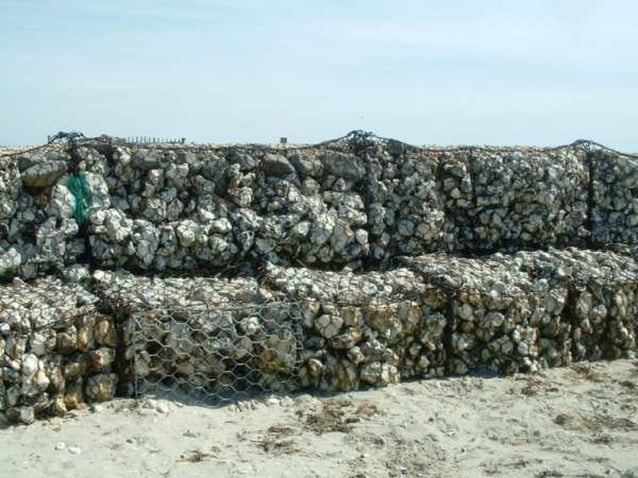 Coastal Protection Measures Hard Engineering | PPT