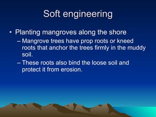 Sec 3Coastal Protection Measures Soft Engineering | PPT