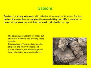 Coastal Protection Methods | PPTX