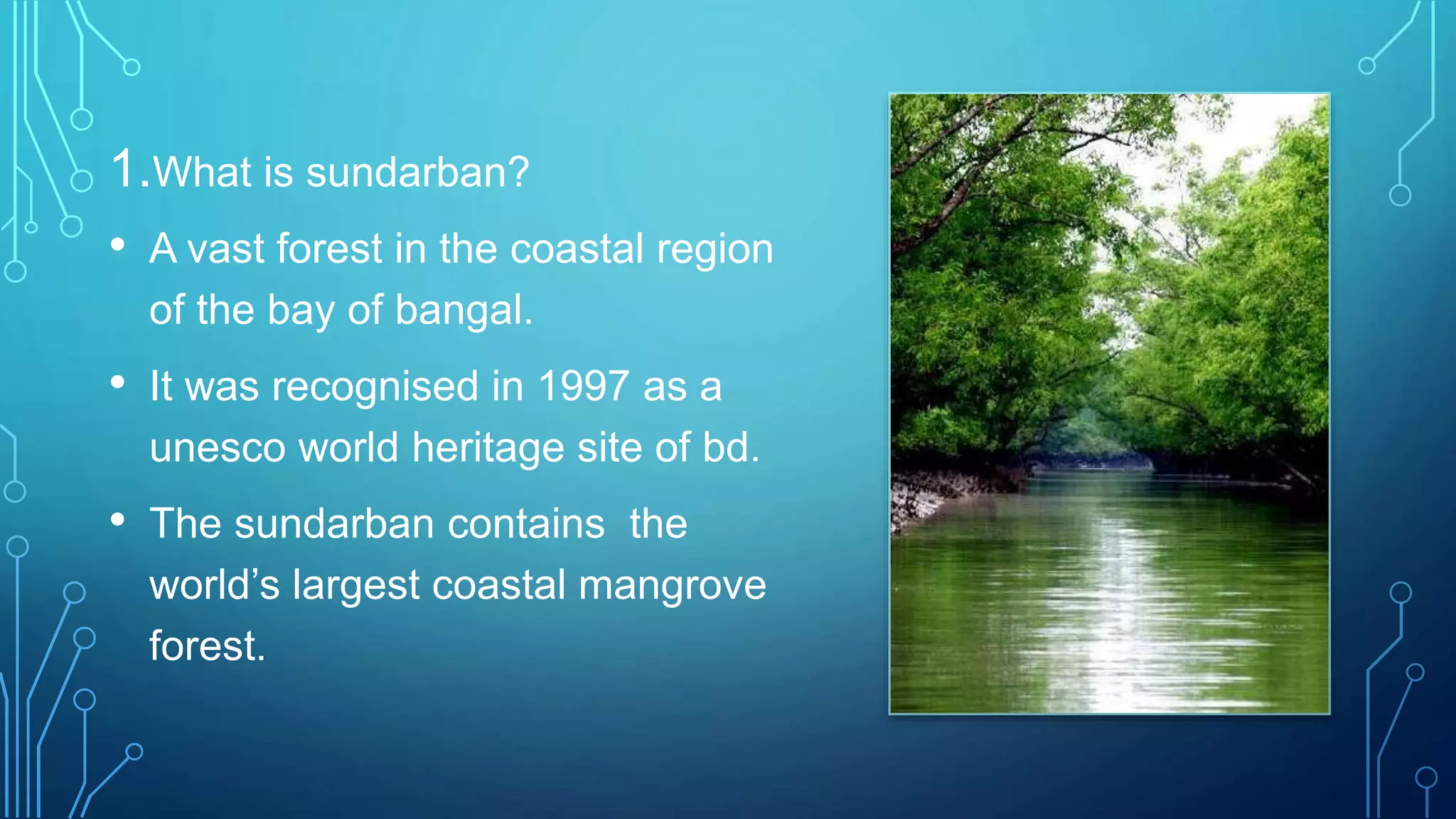 Short Description about Sundarbans, Bangladesh | PPTX