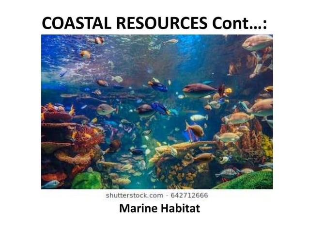 Coastal Resource Management | PPTX | Geography | Science