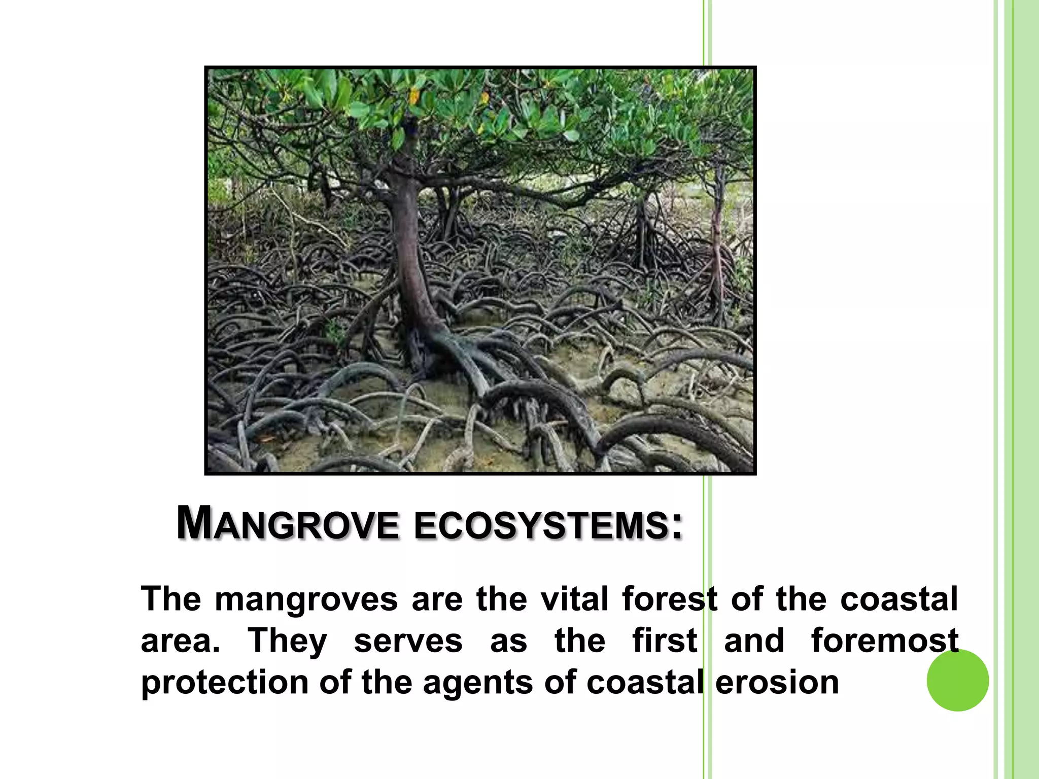 Coastal resource management presentation | PPTX