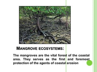 Coastal resource management presentation | PPTX