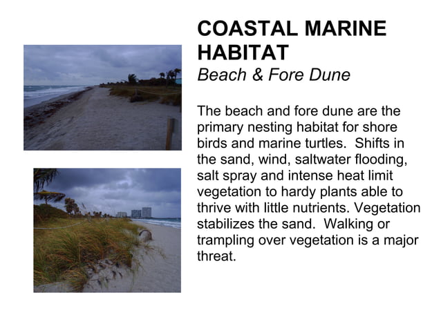 Coastal Signs | PDF