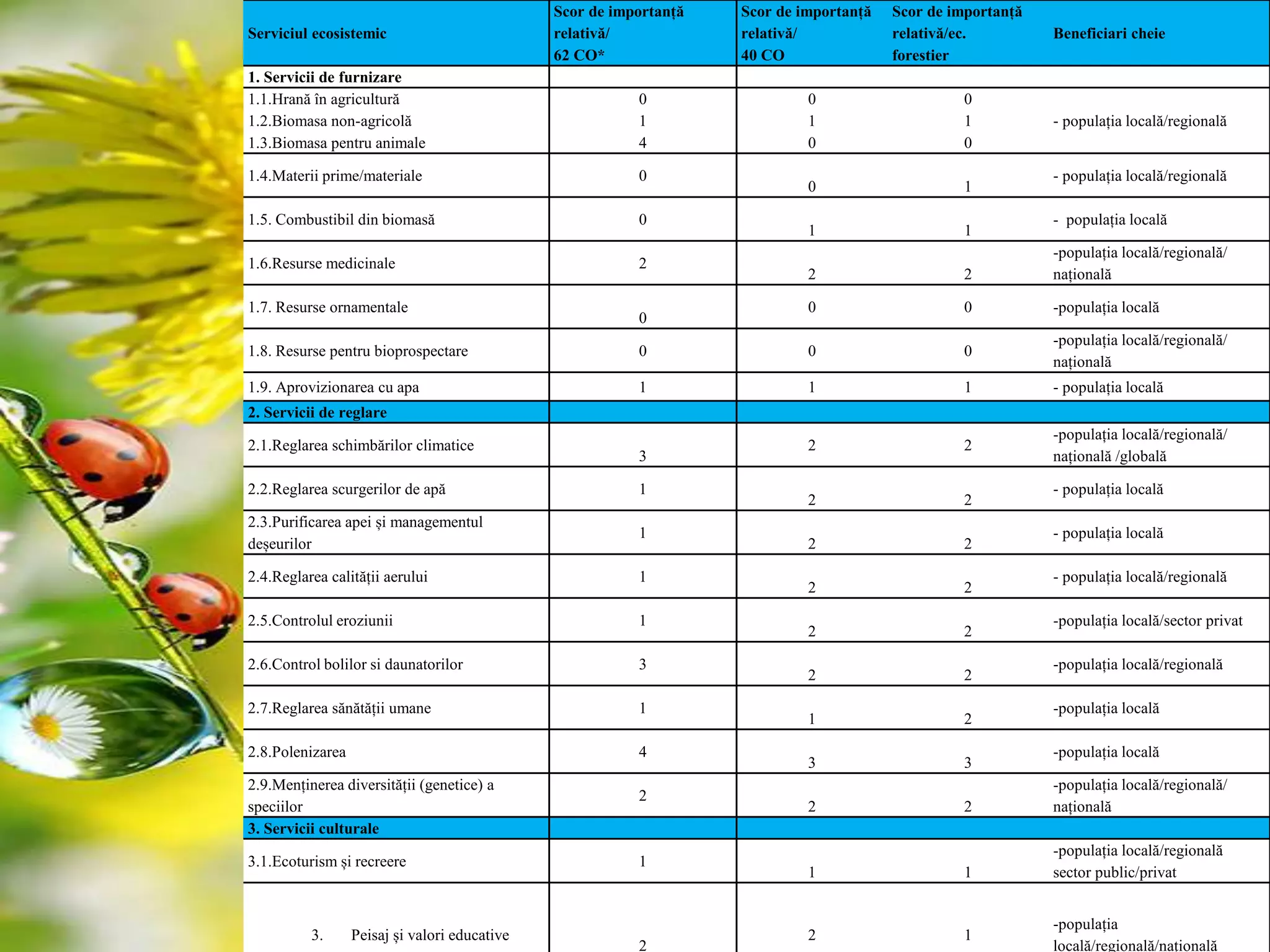 Coasta rupturile tanacu | PPTX