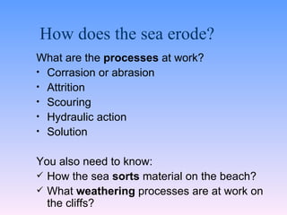 Coastlines Yr 11 Revision Class For Ocr Spec A | PPT | Geology | Science