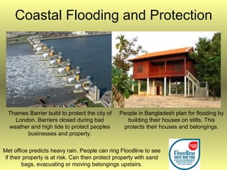 Coasts at a glance | PPT