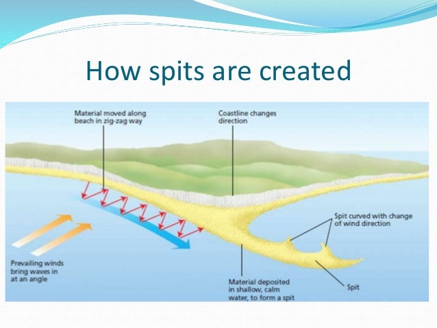 Coasts igcse geography