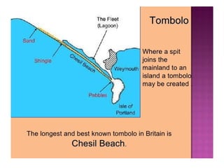 Coasts Revision GCSE | PPT