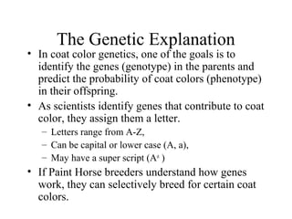Coat colorgenetics part1 | PPT