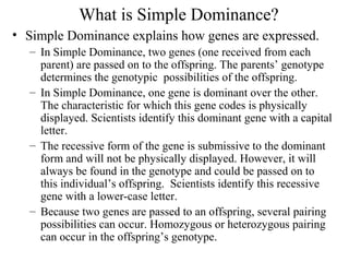 Coat colorgenetics part1 | PPT