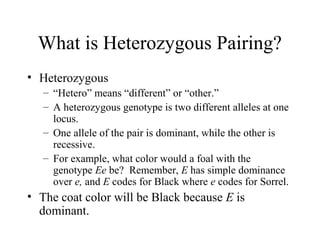 Coat colorgenetics part1 | PPT