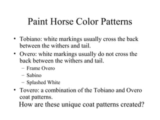 Coat colorgenetics part1 | PPT