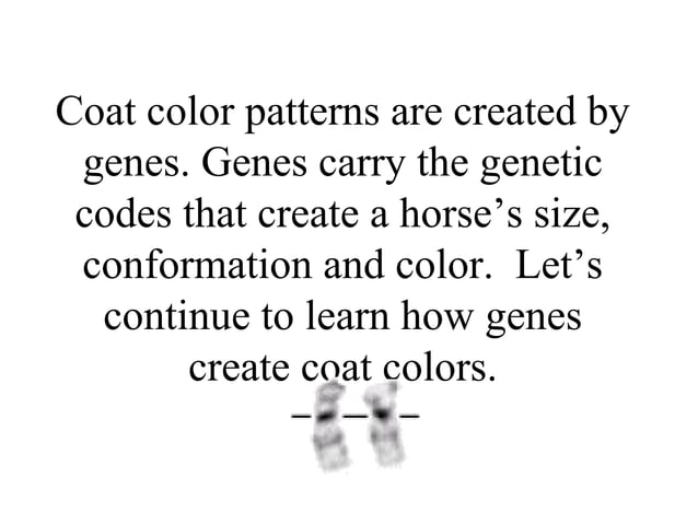 Coat colorgenetics part1 | PPT