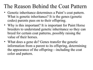 Coat colorgenetics part1 | PPT