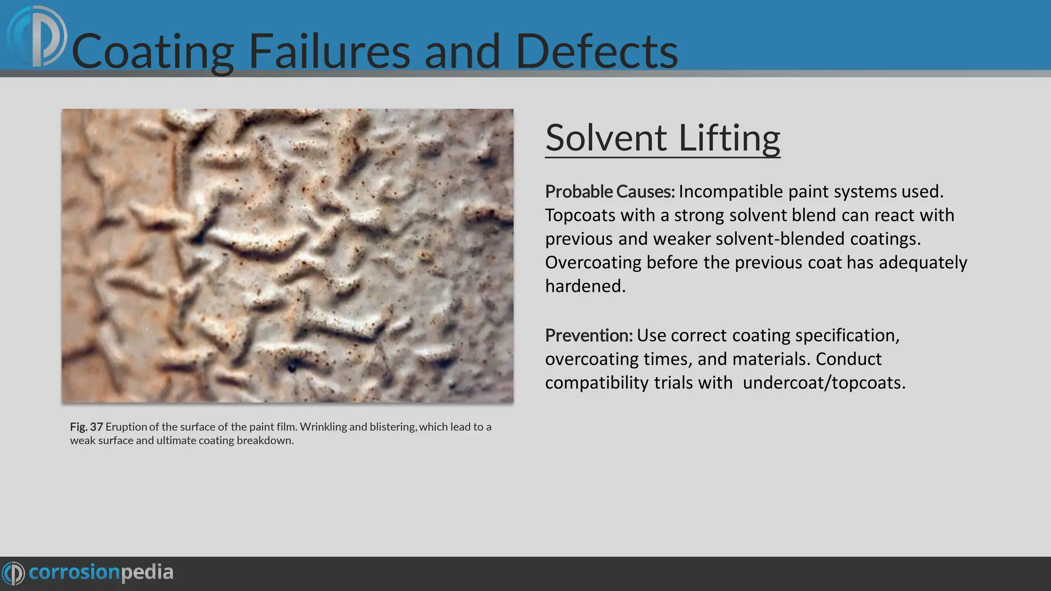 Coating-Failure-Defects- with root cause analysis An | PDF