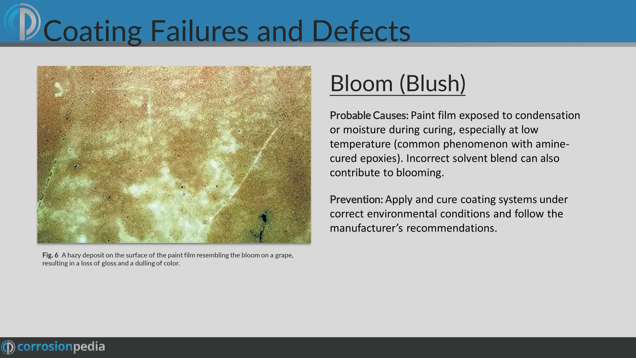 Coating failures and defects Faults of Damage | PDF