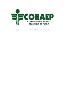 Cobaep | PDF