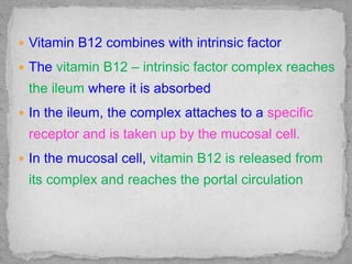 Cobalamine (B12) | PPTX