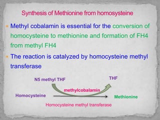 Cobalamine (B12) | PPTX