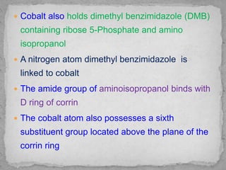 Cobalamine (B12) | PPTX