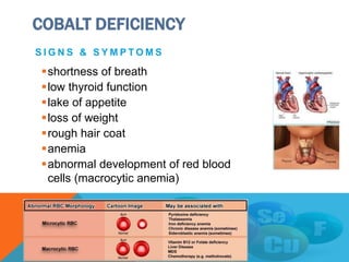 Cobalt in Diet | PPTX