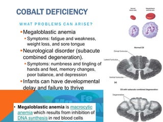 Cobalt in Diet | PPTX