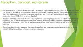 Cobalt(co) bch 628 (advanced nutritional biochemistry) | PDF