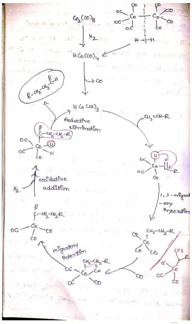 Cobalt complex use in insertion of CO | PDF