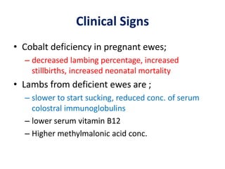 Cobalt deficiency in Animals | PPTX