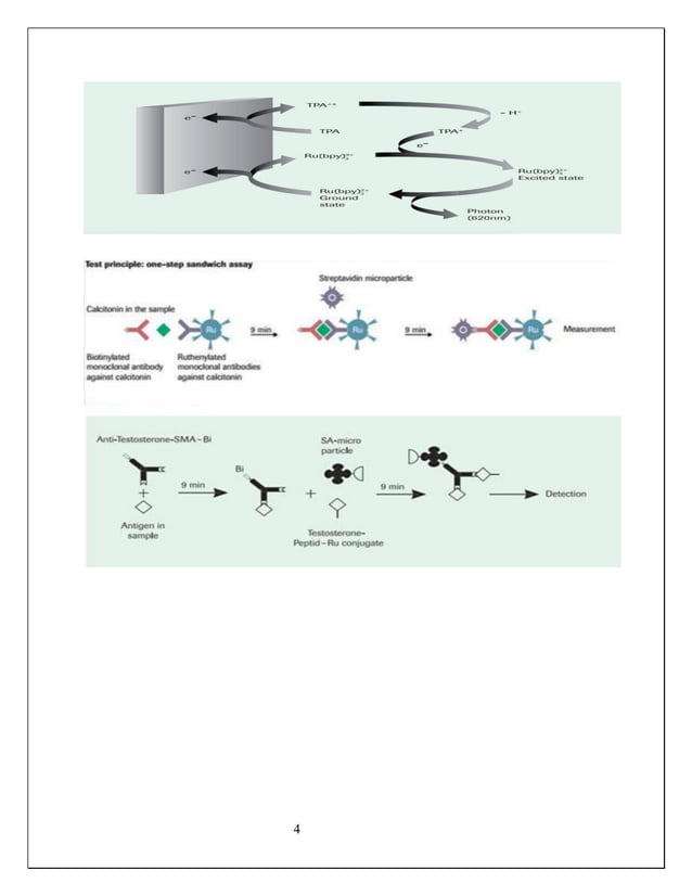 Cobas device Electrochemiluminescence Immunoassays | PDF