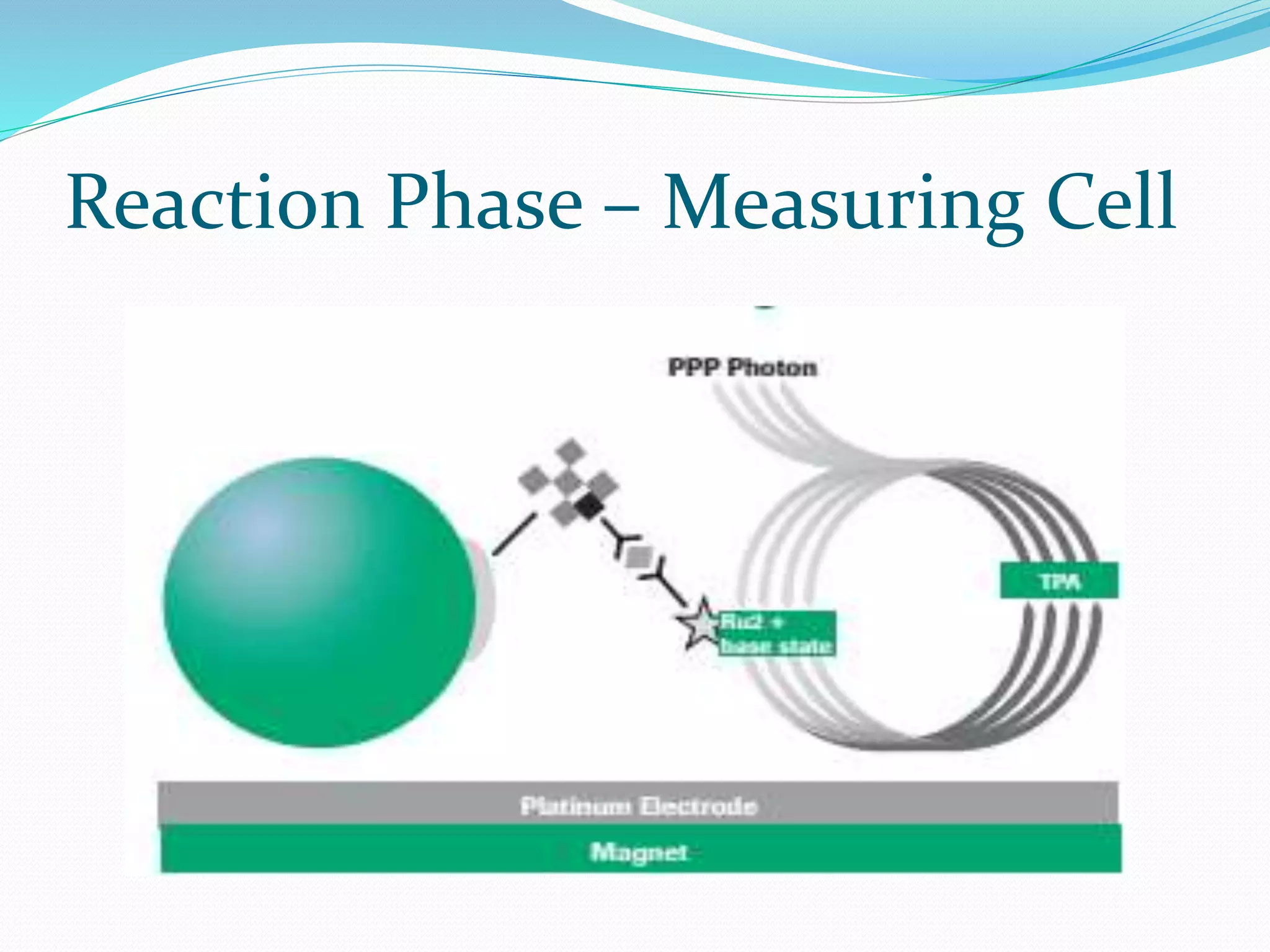 Cobas e 411 a | PPTX