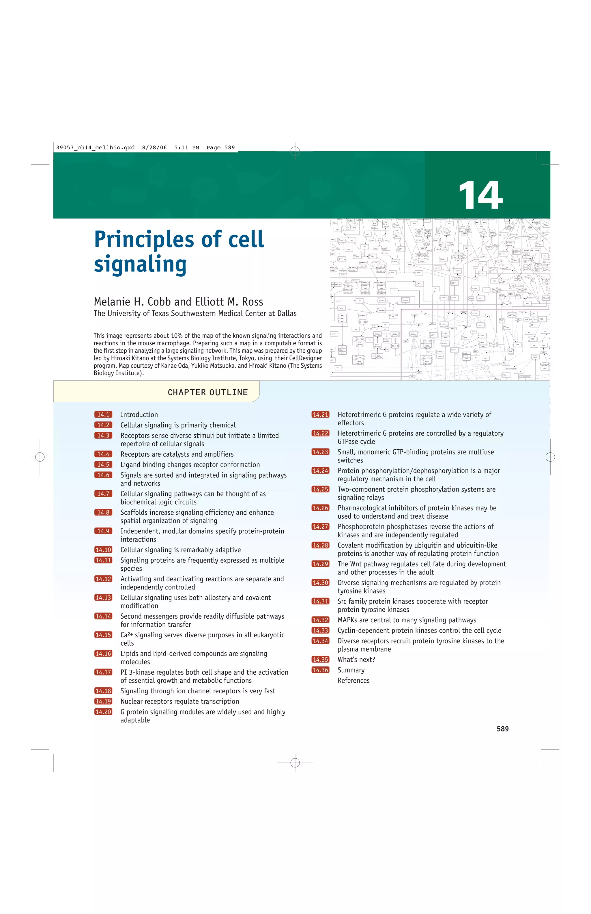 Cobb ross cell signaling chapter | PDF