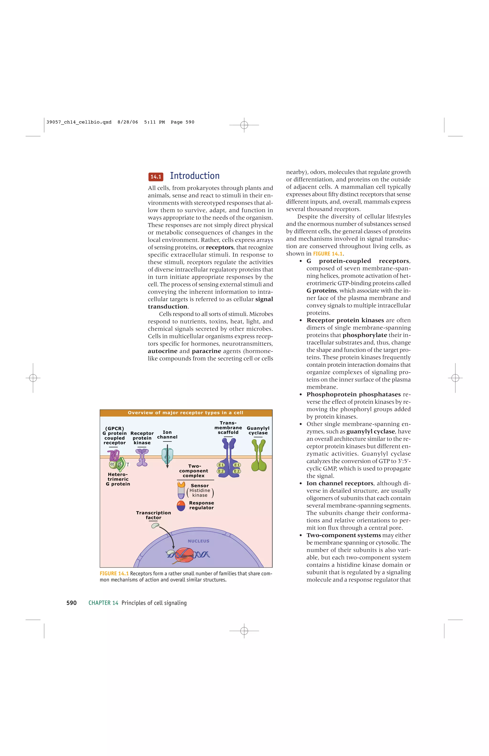 Cobb ross cell signaling chapter | PDF | Chemistry | Science