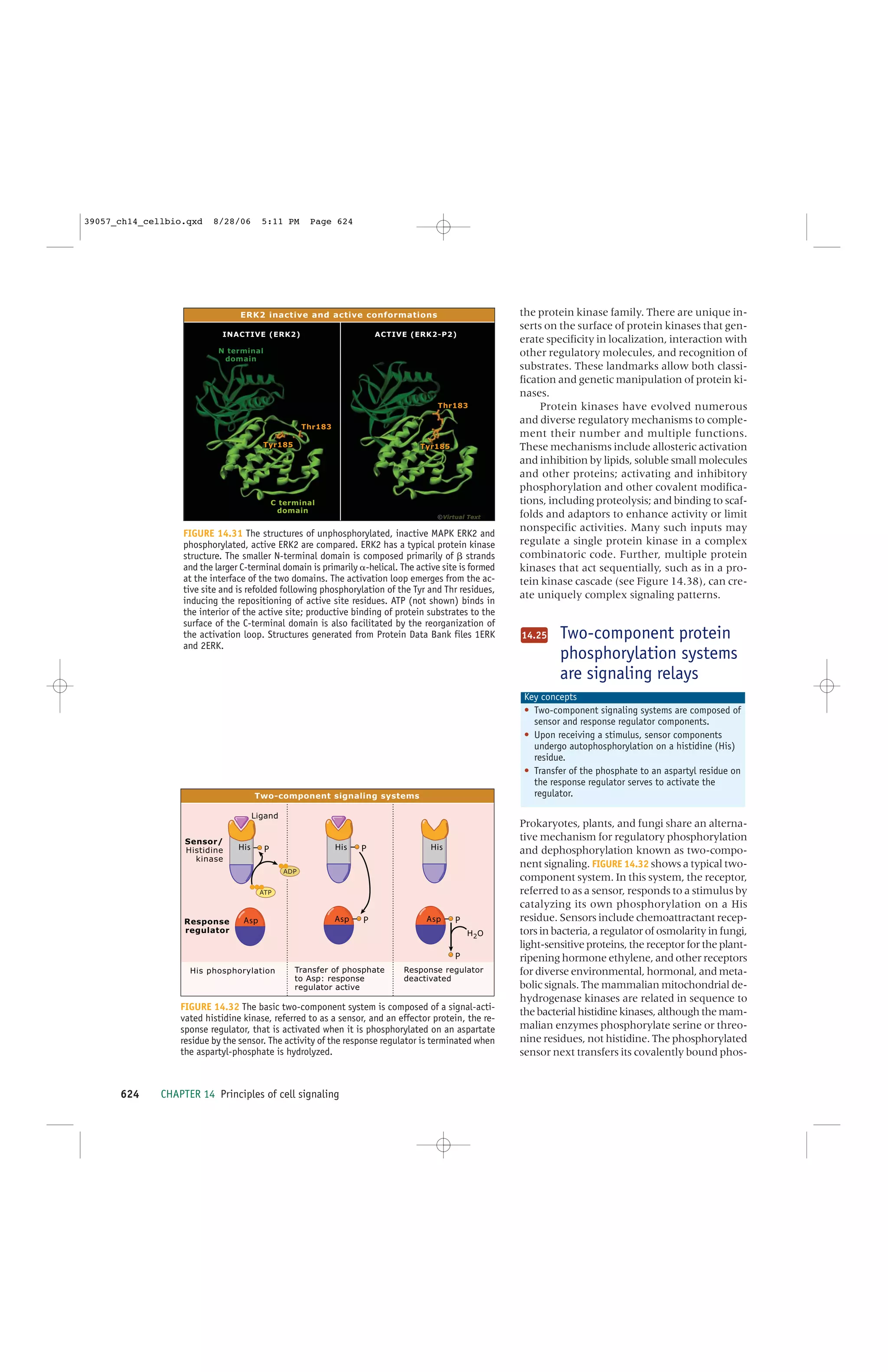 Cobb ross cell signaling chapter | PDF | Chemistry | Science