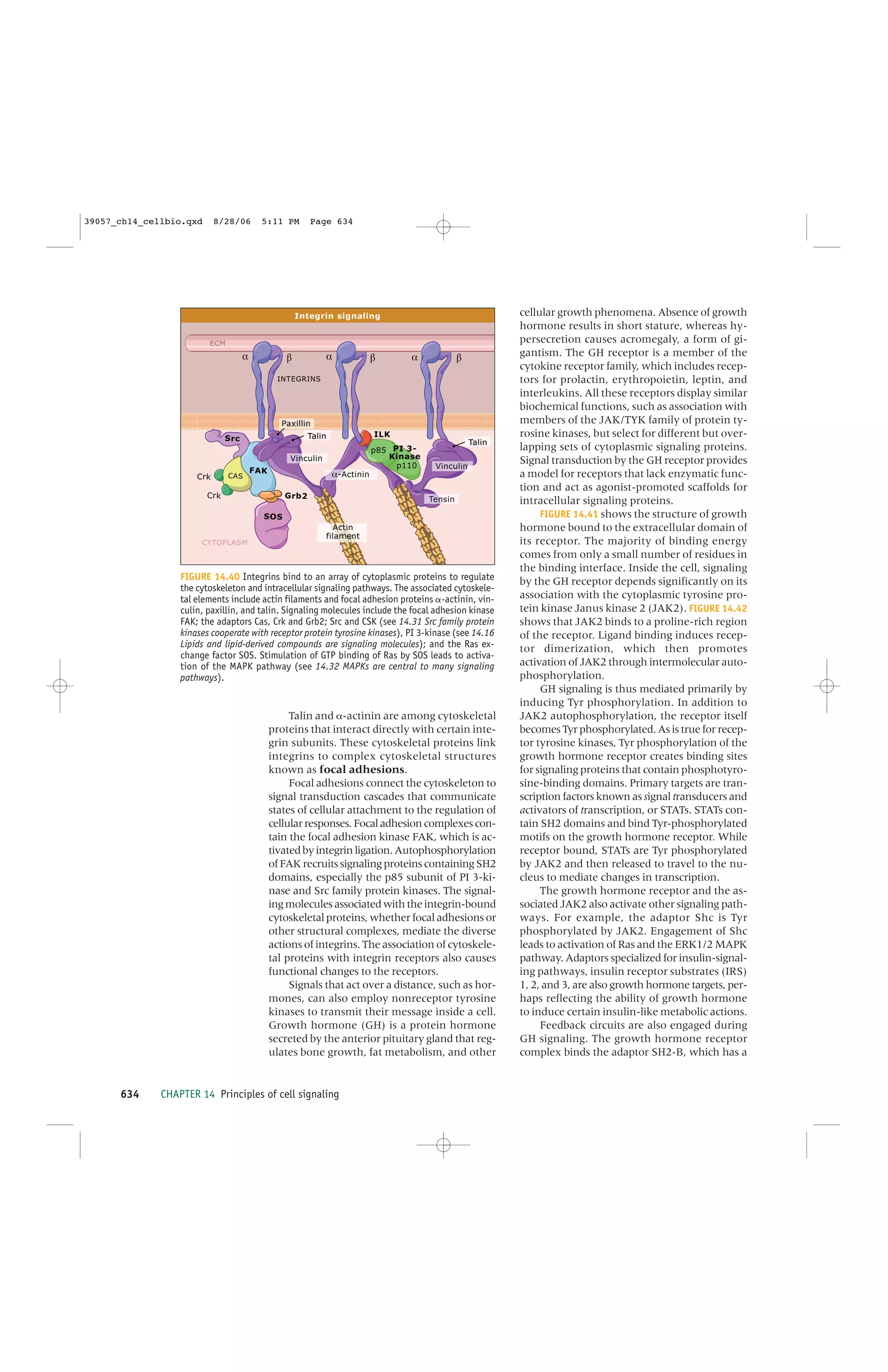 Cobb ross cell signaling chapter | PDF