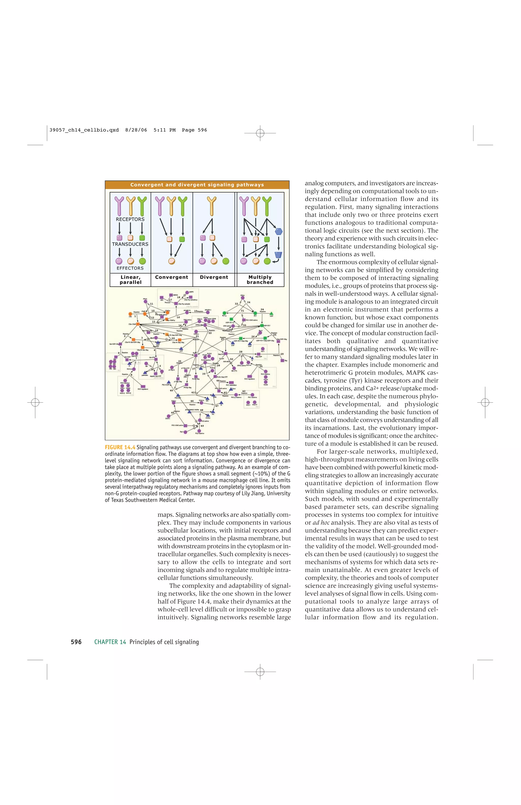 Cobb ross cell signaling chapter | PDF | Chemistry | Science