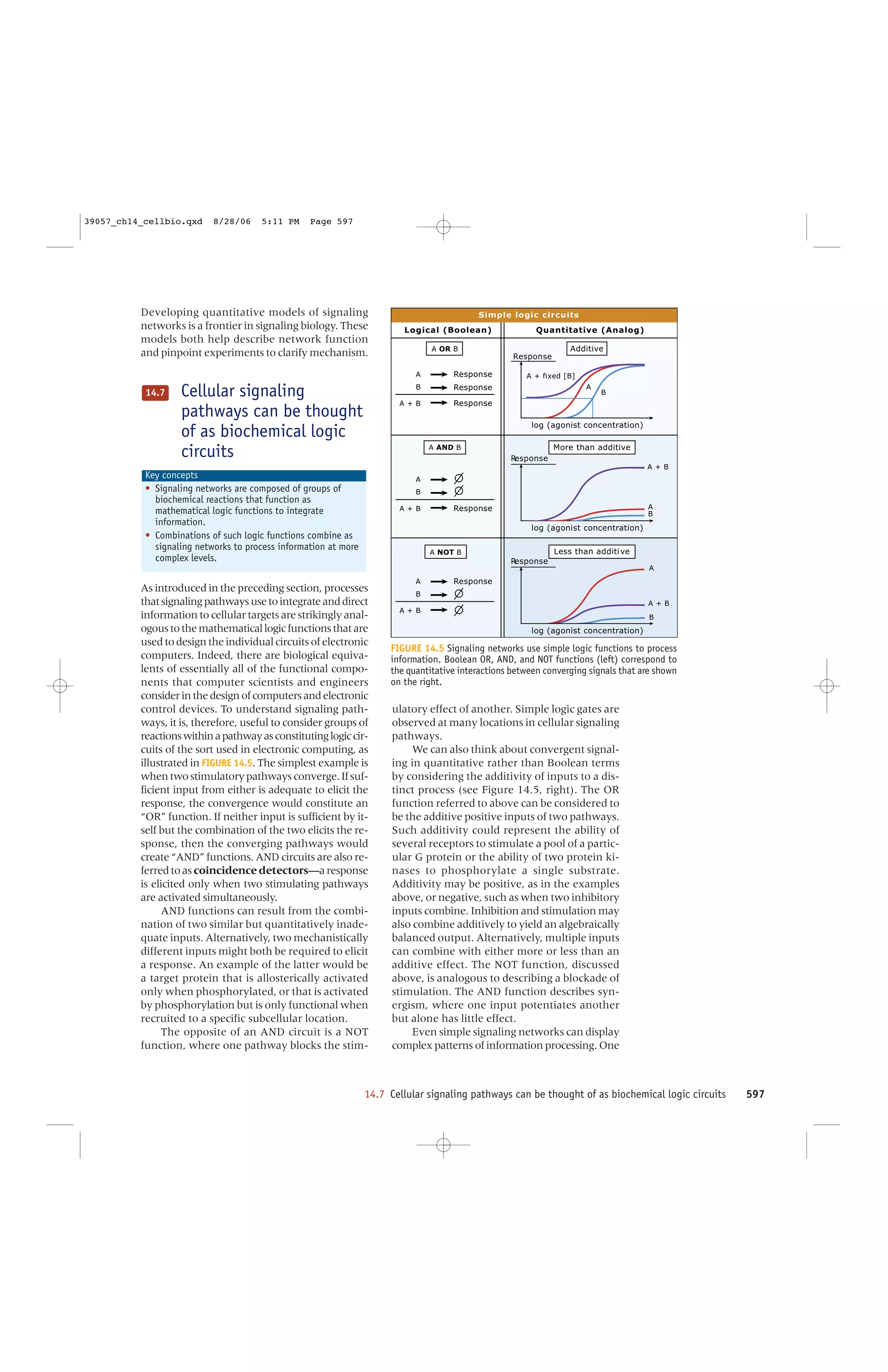 Cobb ross cell signaling chapter | PDF | Chemistry | Science