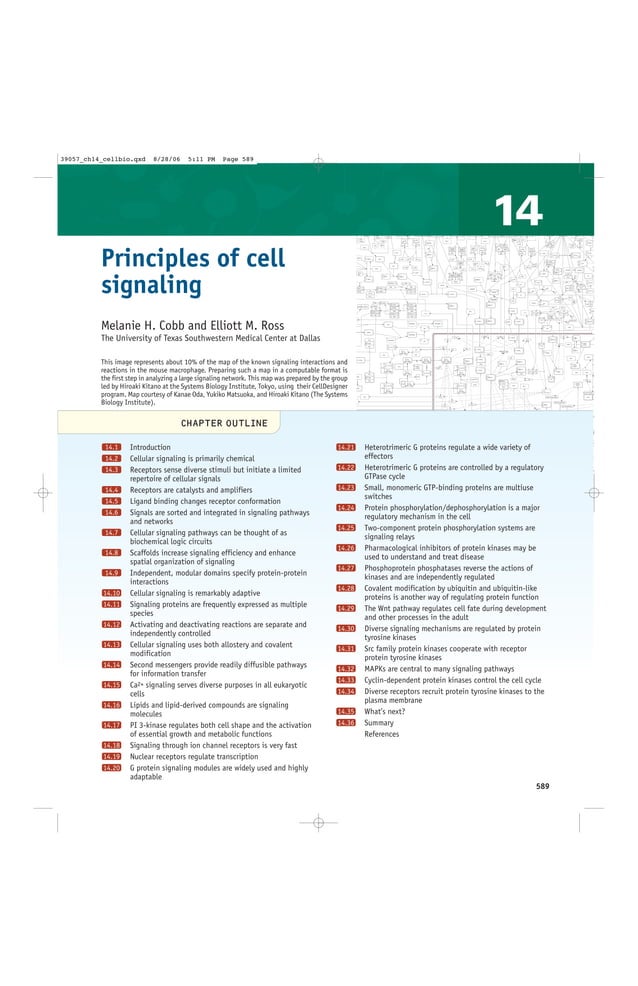Cobb ross cell signaling chapter | PDF | Chemistry | Science