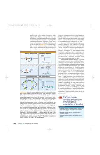 Cobb ross cell signaling chapter | PDF