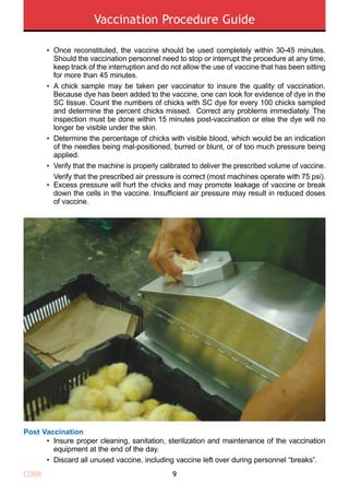 cobb-vaccination-procedure-guide-englishFCC0CCBF492C3BF8E205233B.pdf