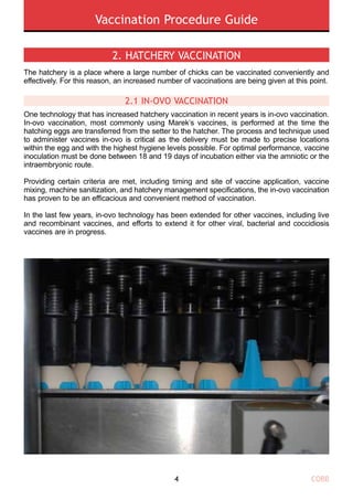 cobb-vaccination-procedure-guide-englishFCC0CCBF492C3BF8E205233B.pdf